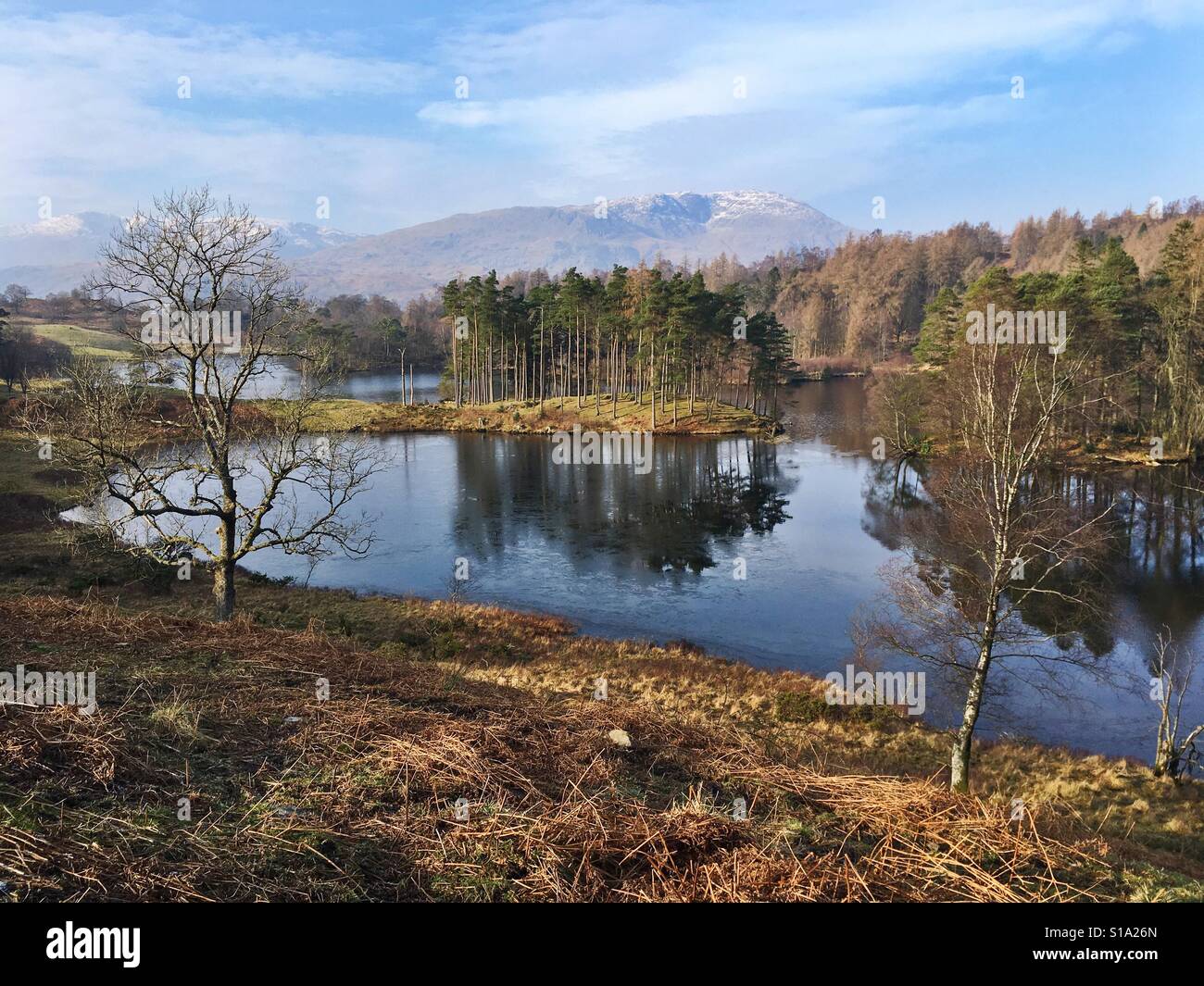 Tarn Hows in the Lake District UK Stock Photo - Alamy