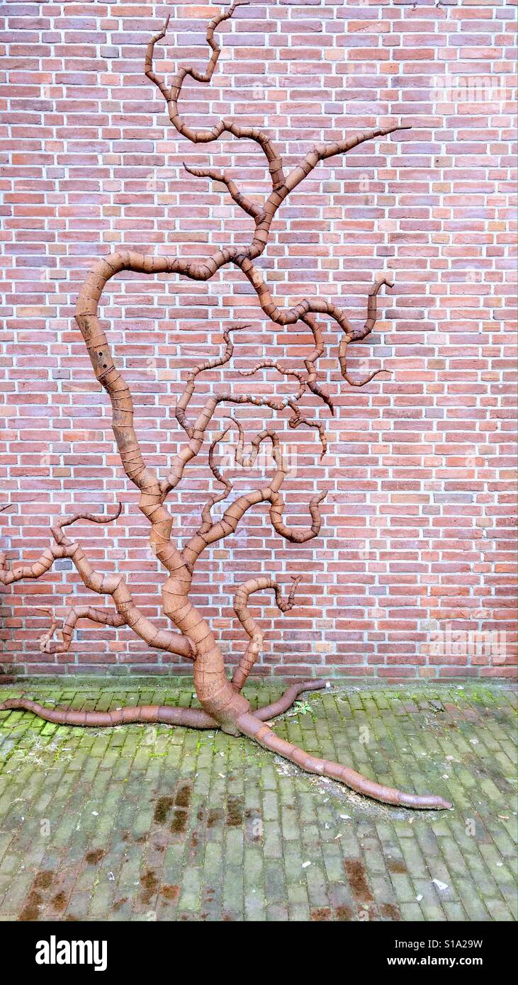A bronze tree on a wall Stock Photo - Alamy