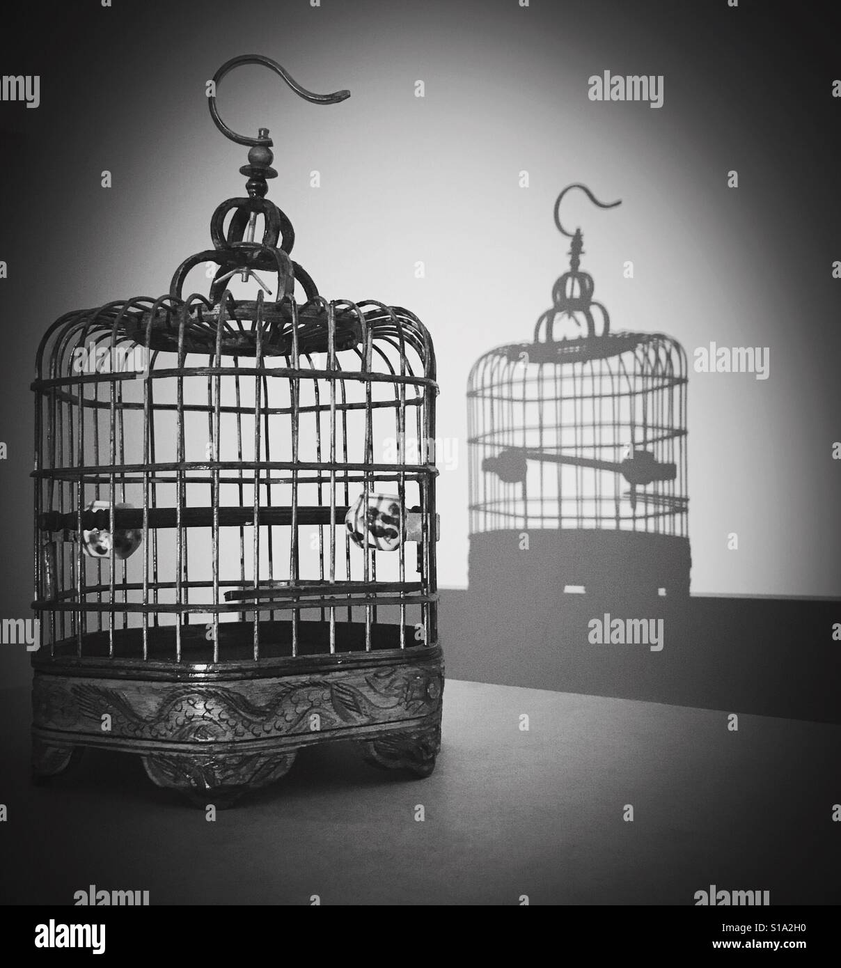 Birdcage with its shadow Stock Photo - Alamy