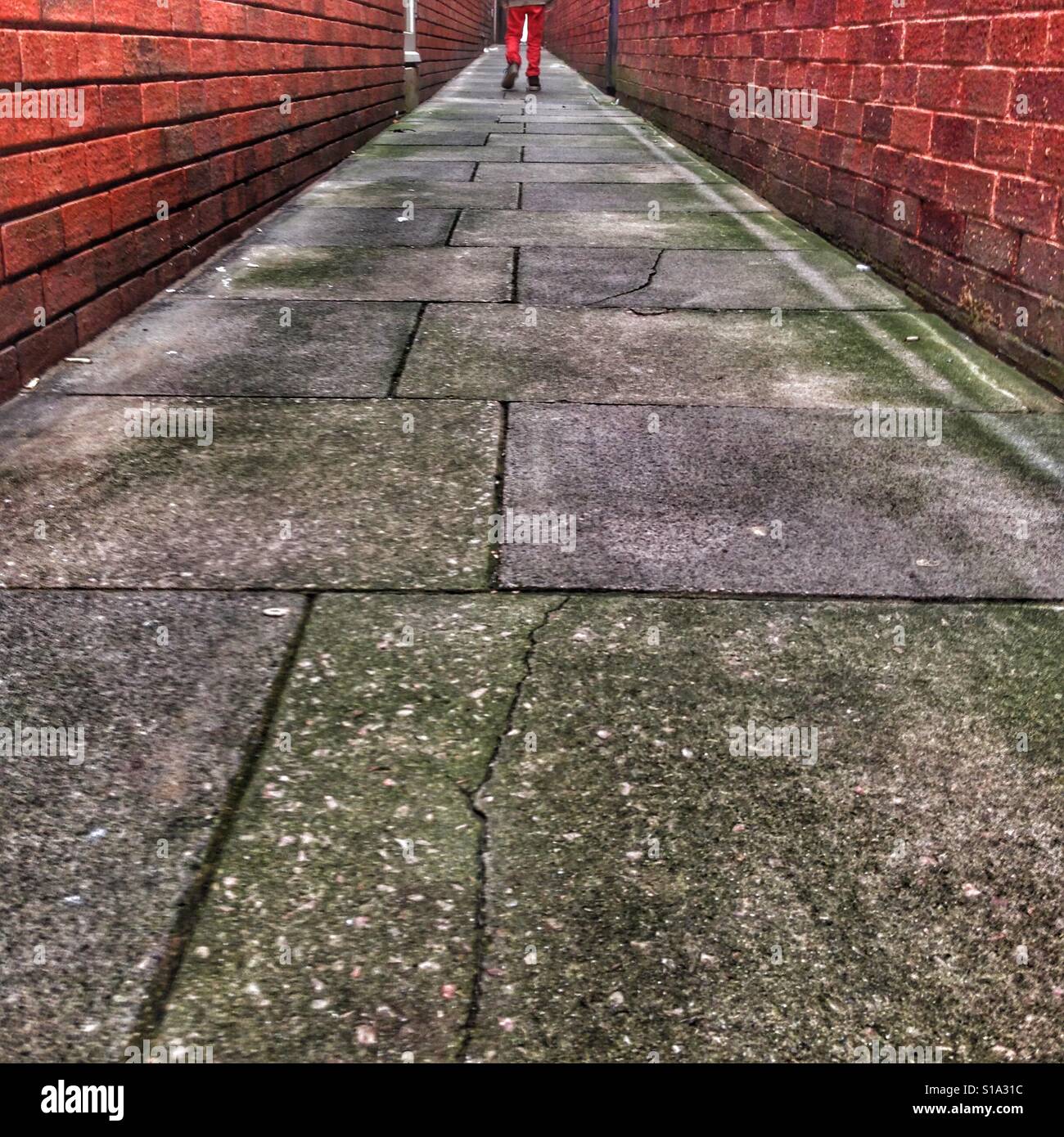 Walking down a narrow path Stock Photo - Alamy