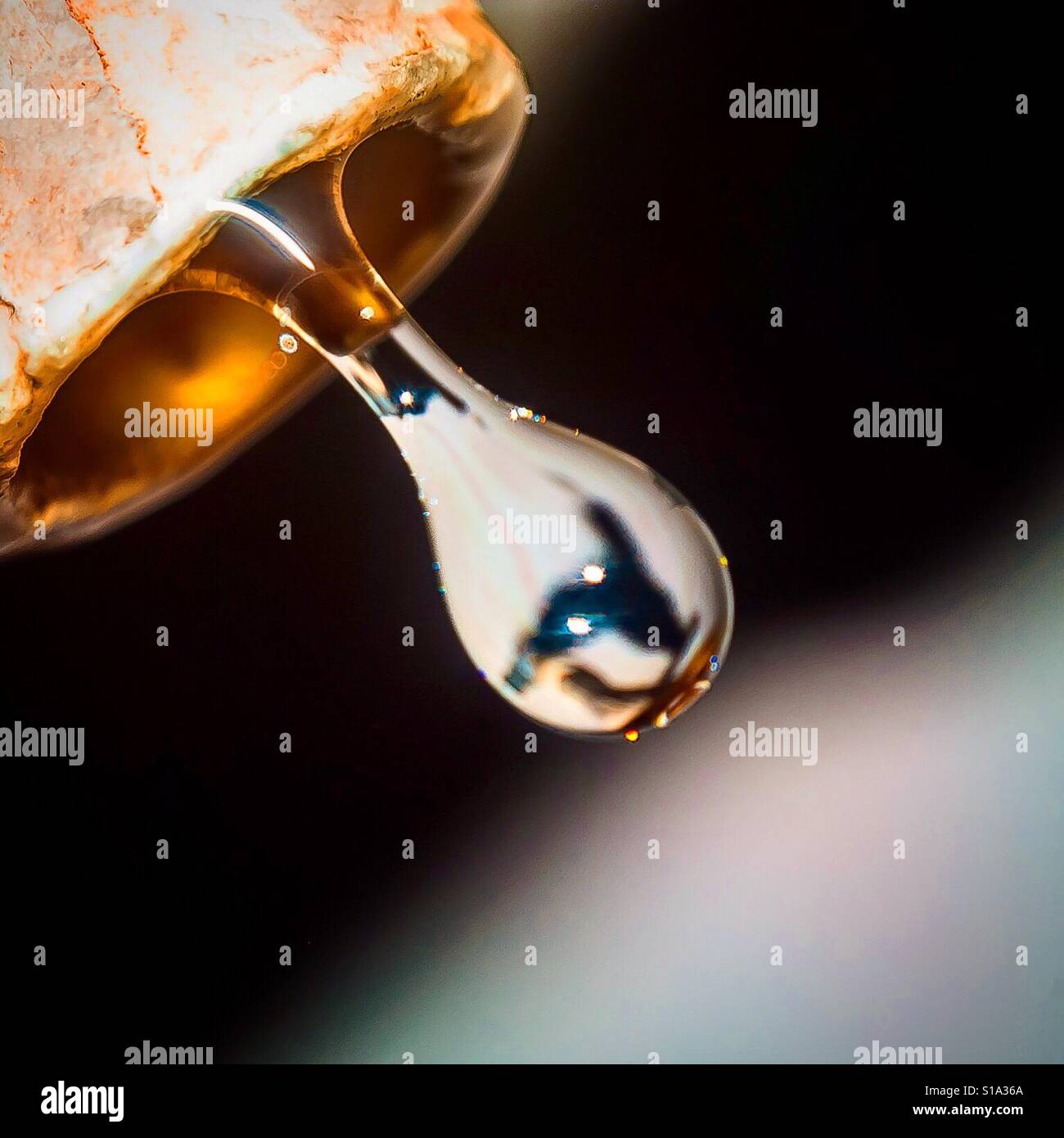 Water_drop High Resolution Stock Photography and Images - Alamy
