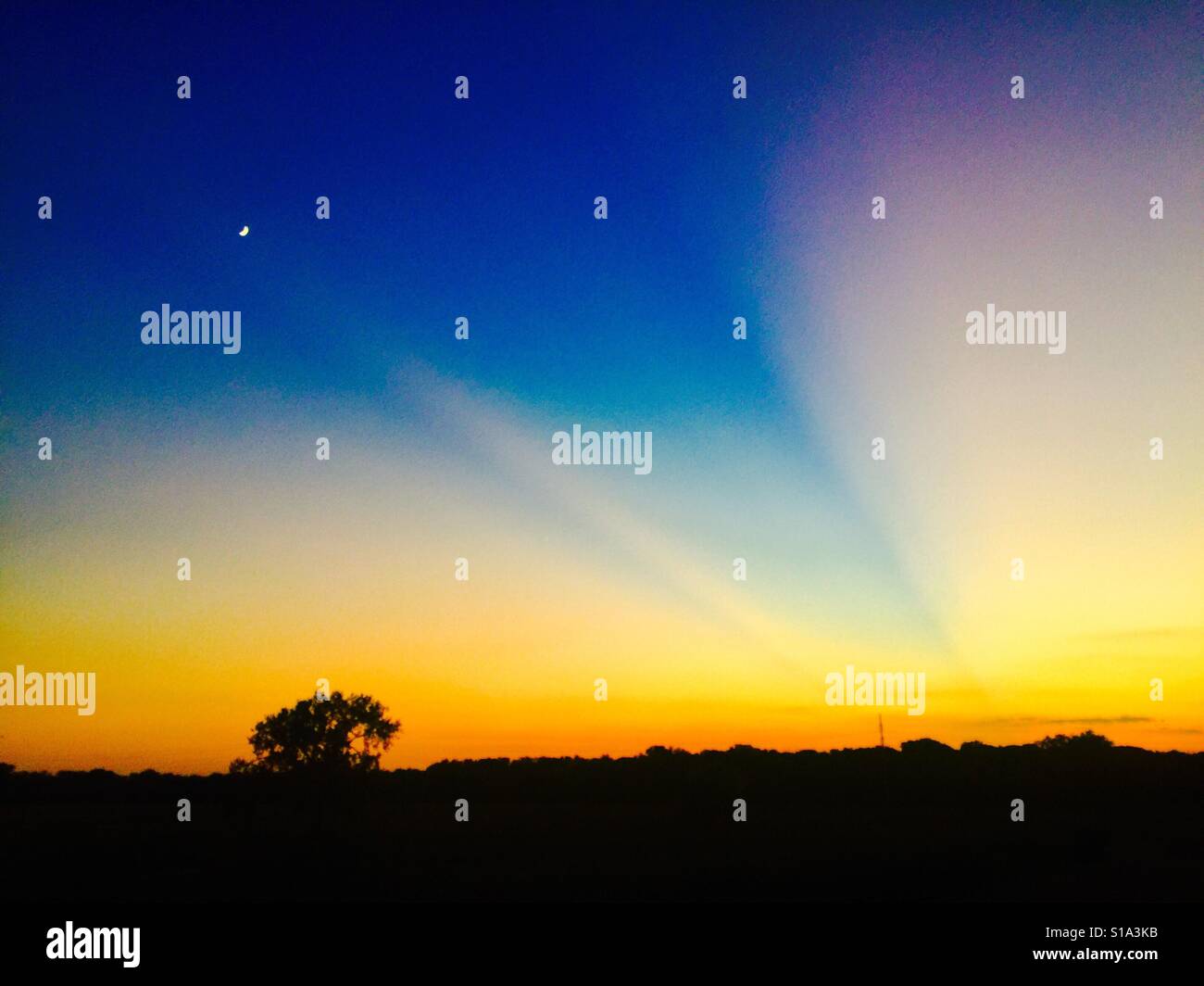 Bright yellow sunset hi-res stock photography and images - Alamy