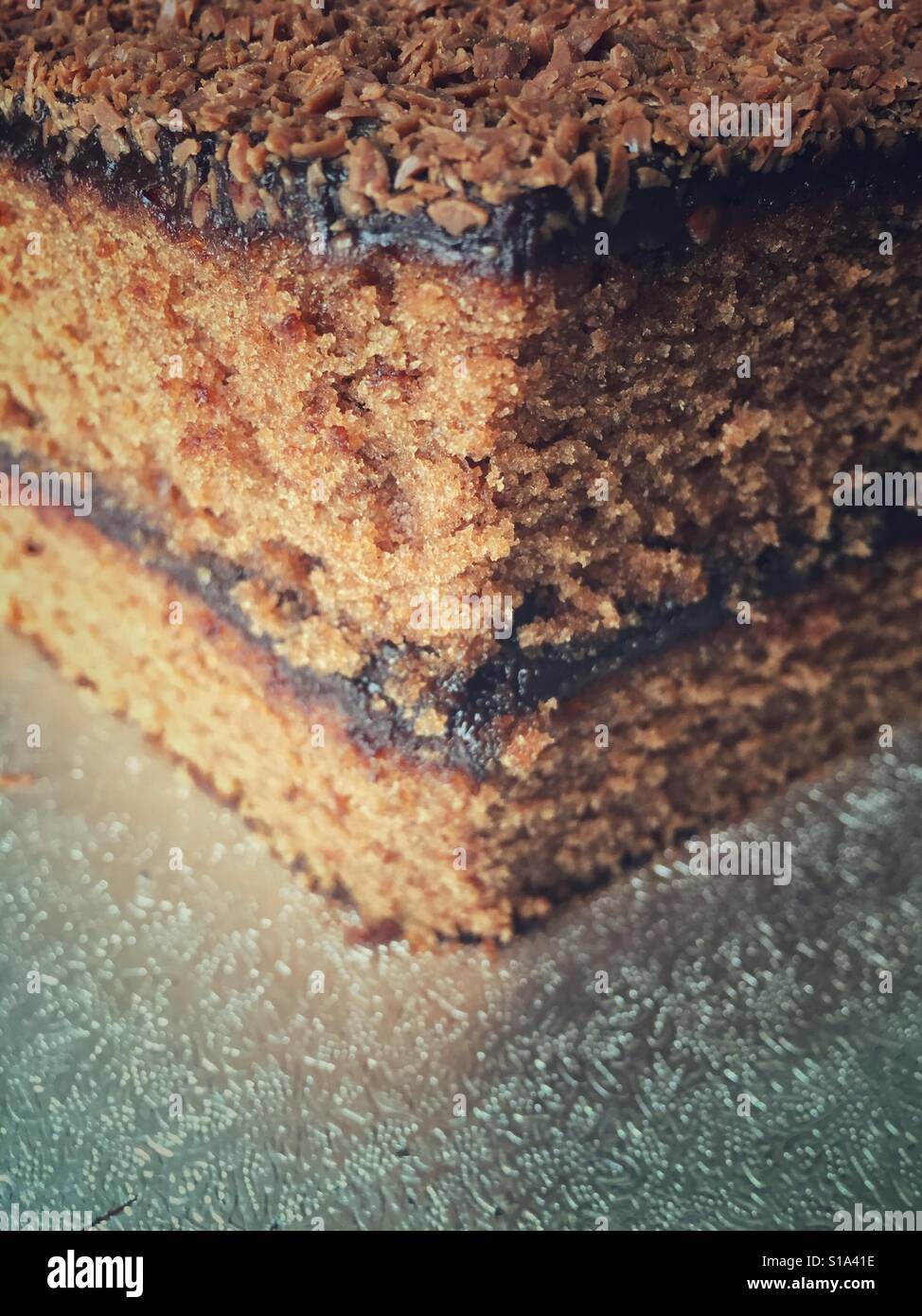 Chocolate sponge slice Stock Photo - Alamy