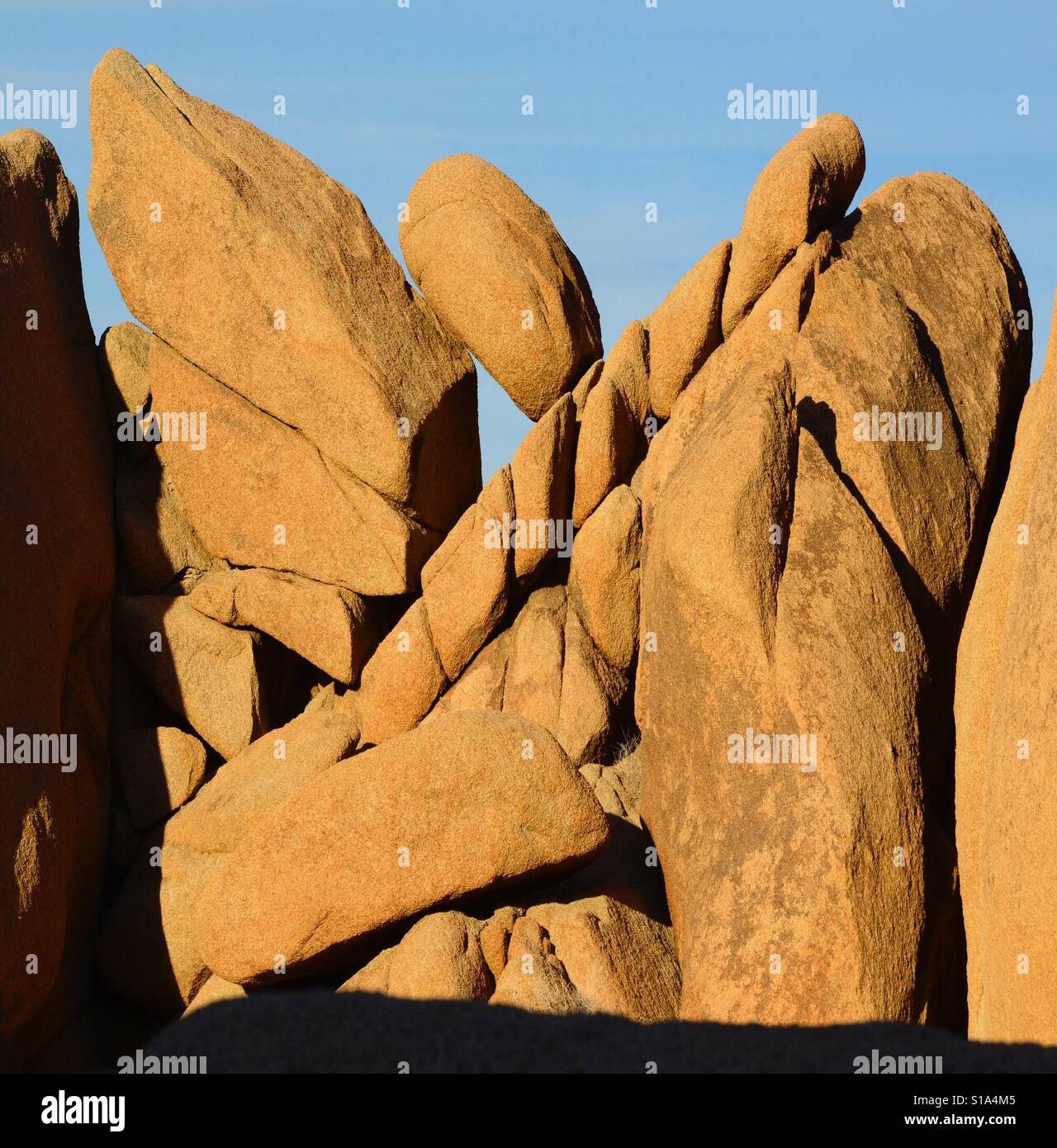 Tree with granite rocks hi-res stock photography and images - Alamy