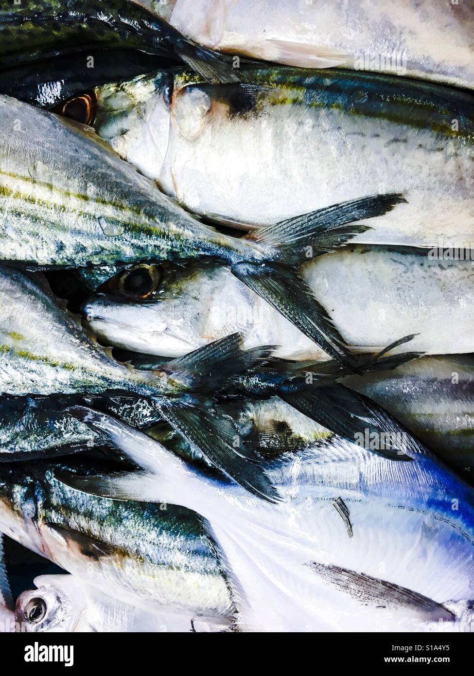 Pattern and texture. Raw fish background concept Stock Photo - Alamy