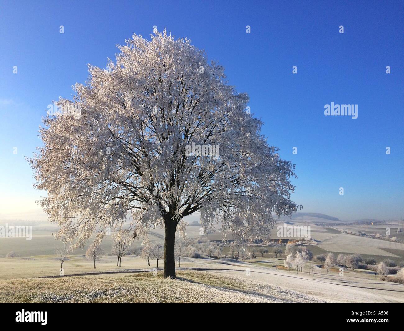 Winter scenery in very cold morning Stock Photo - Alamy