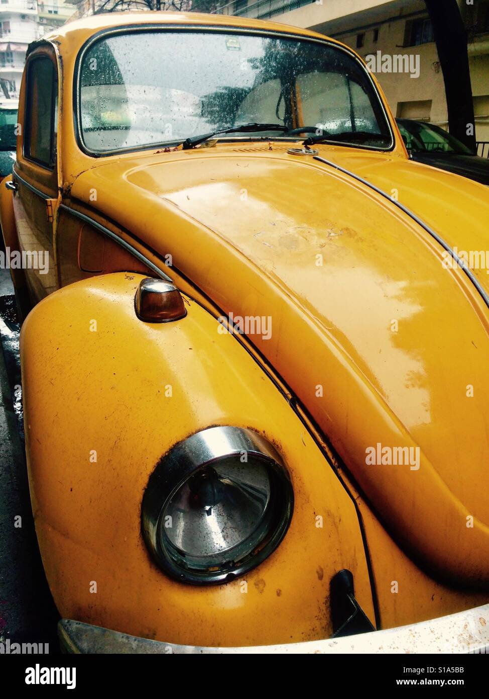 Classic beetle hi-res stock photography and images - Alamy