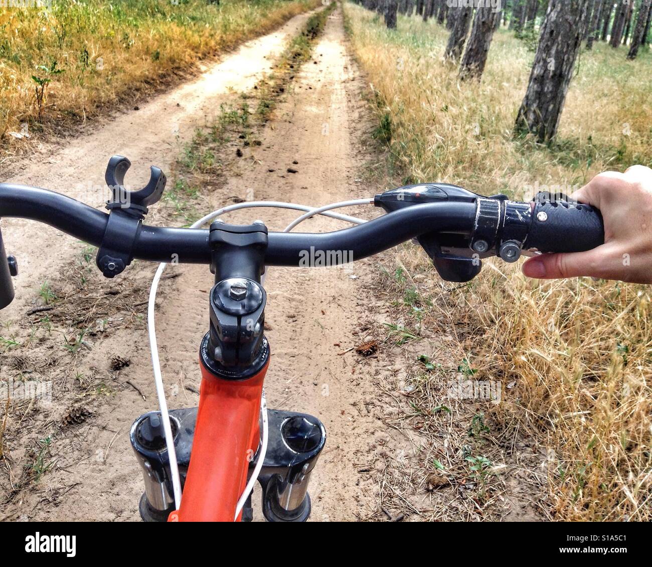 Cycling in the forest hi-res stock photography and images - Alamy