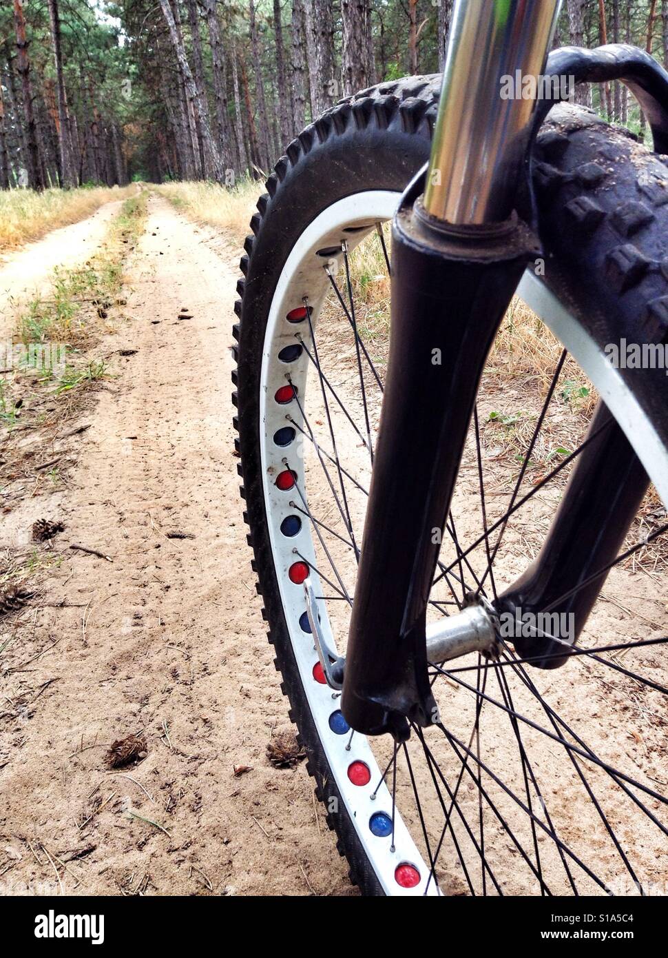 Wheel and path in a forest Stock Photo - Alamy