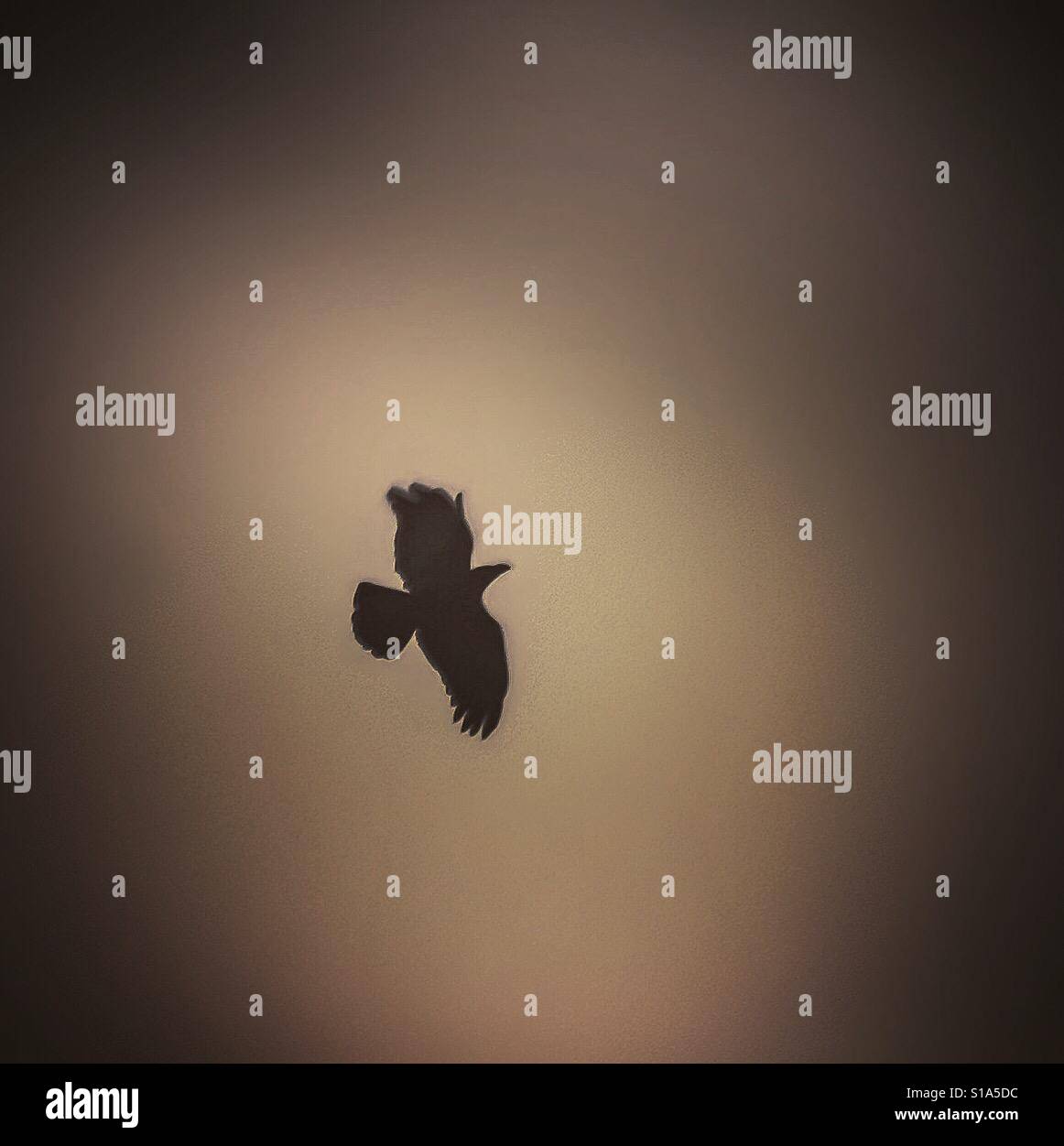 Creepy Sky High Resolution Stock Photography and Images - Alamy