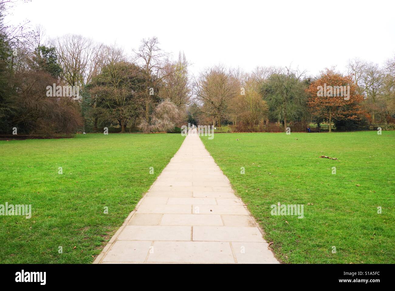 Long paths hi-res stock photography and images - Alamy
