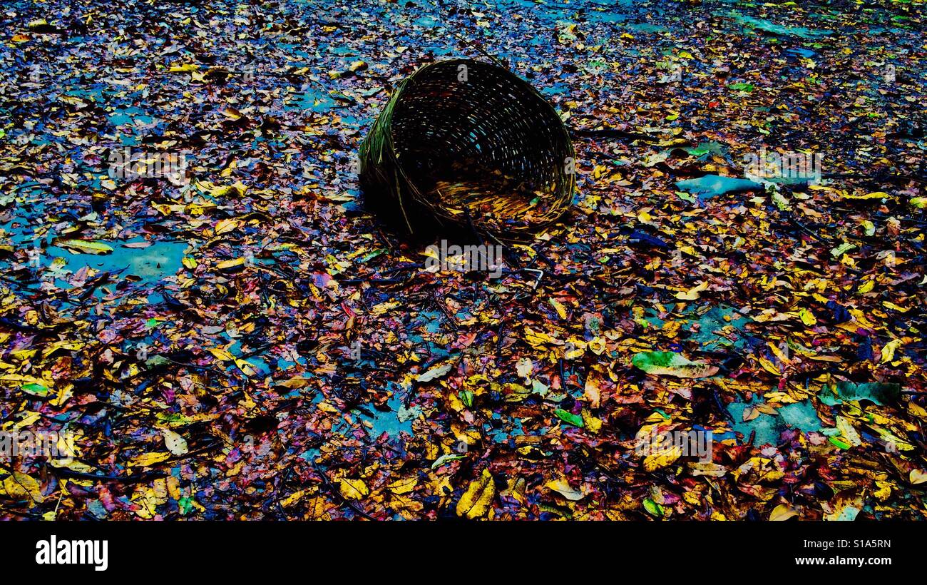 Colourful bucket hi-res stock photography and images - Alamy