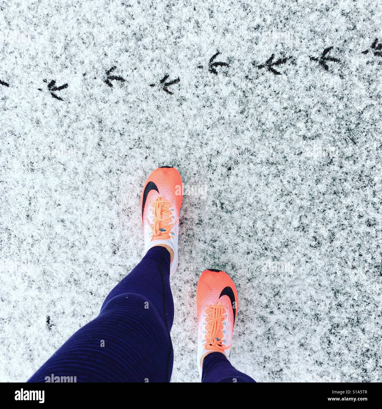 Trainers in snow Stock Photo - Alamy