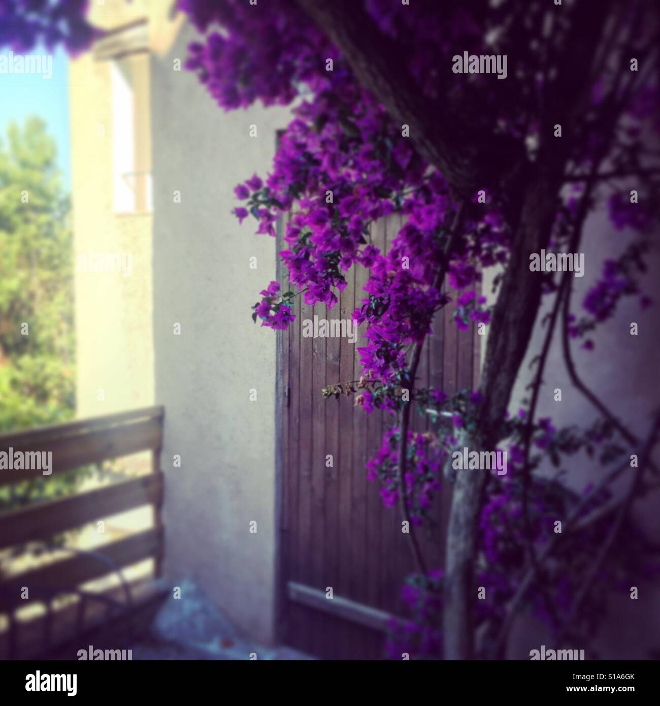 French door in countryside Stock Photo - Alamy