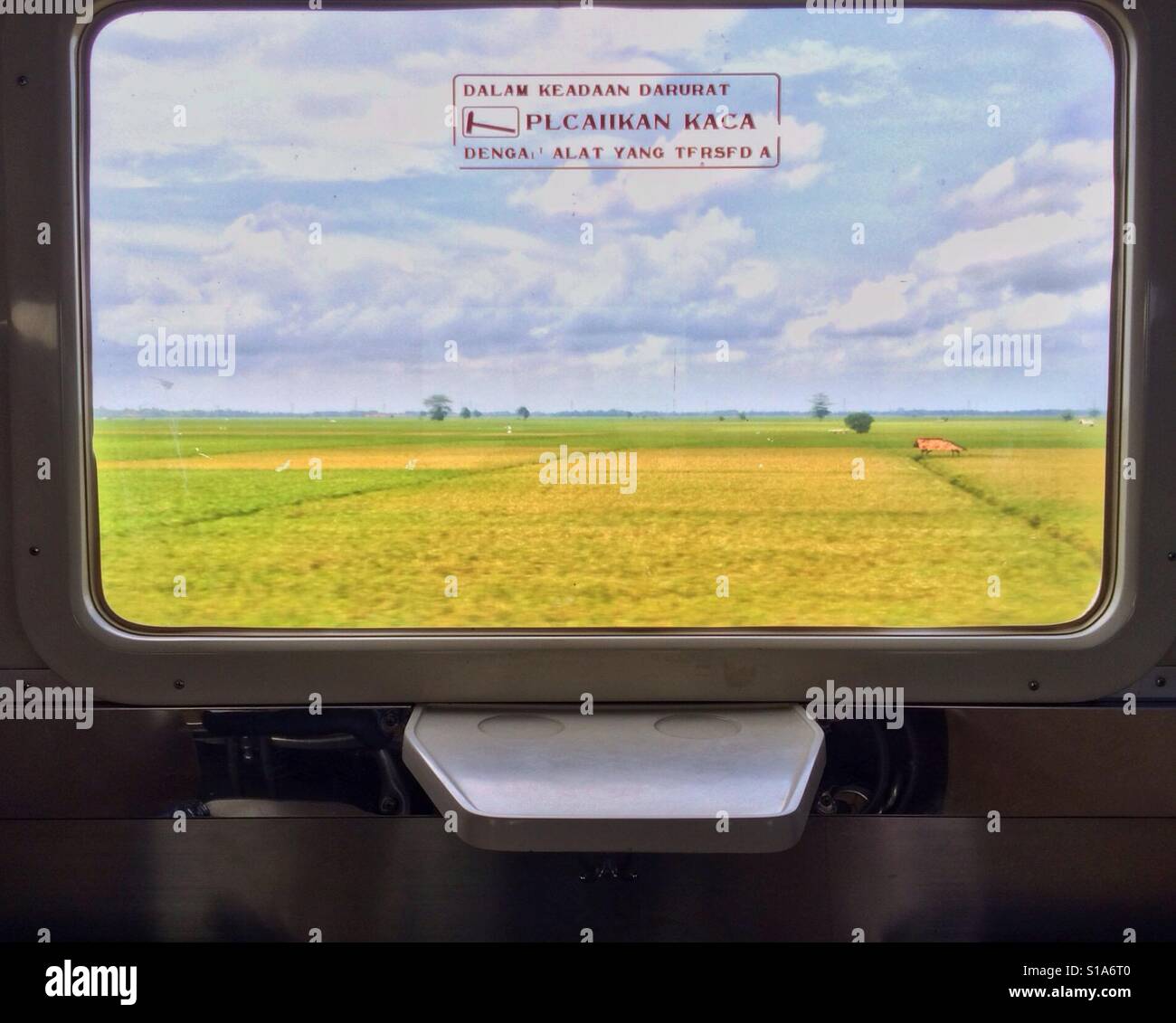 Field view hi-res stock photography and images - Alamy