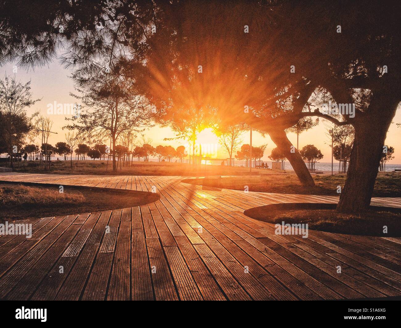 Deck setting hi-res stock photography and images - Alamy