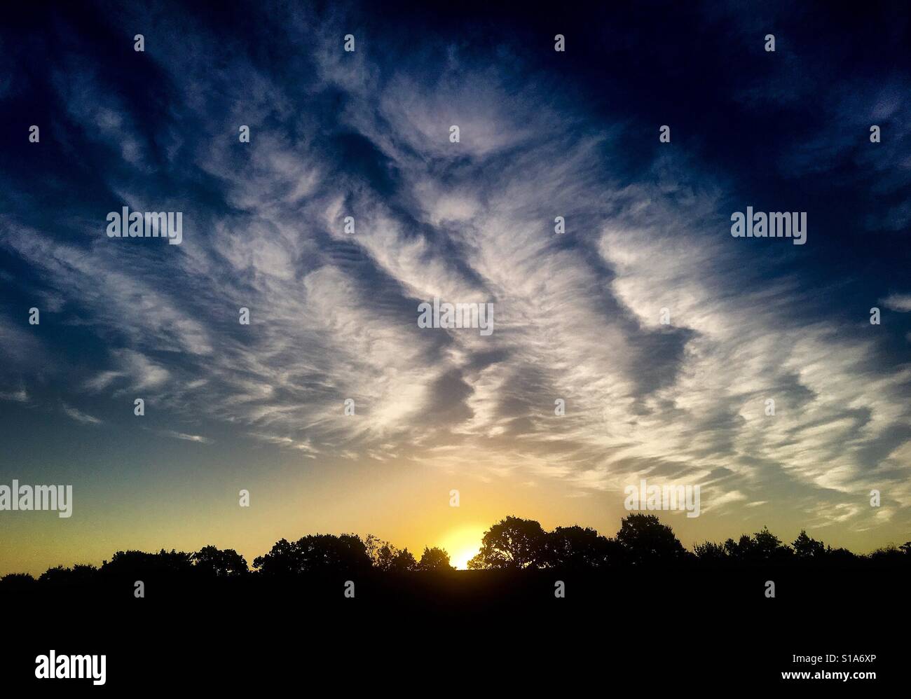 Sunrise through a treeline on the Suffolk/Essex border uk, with a ...