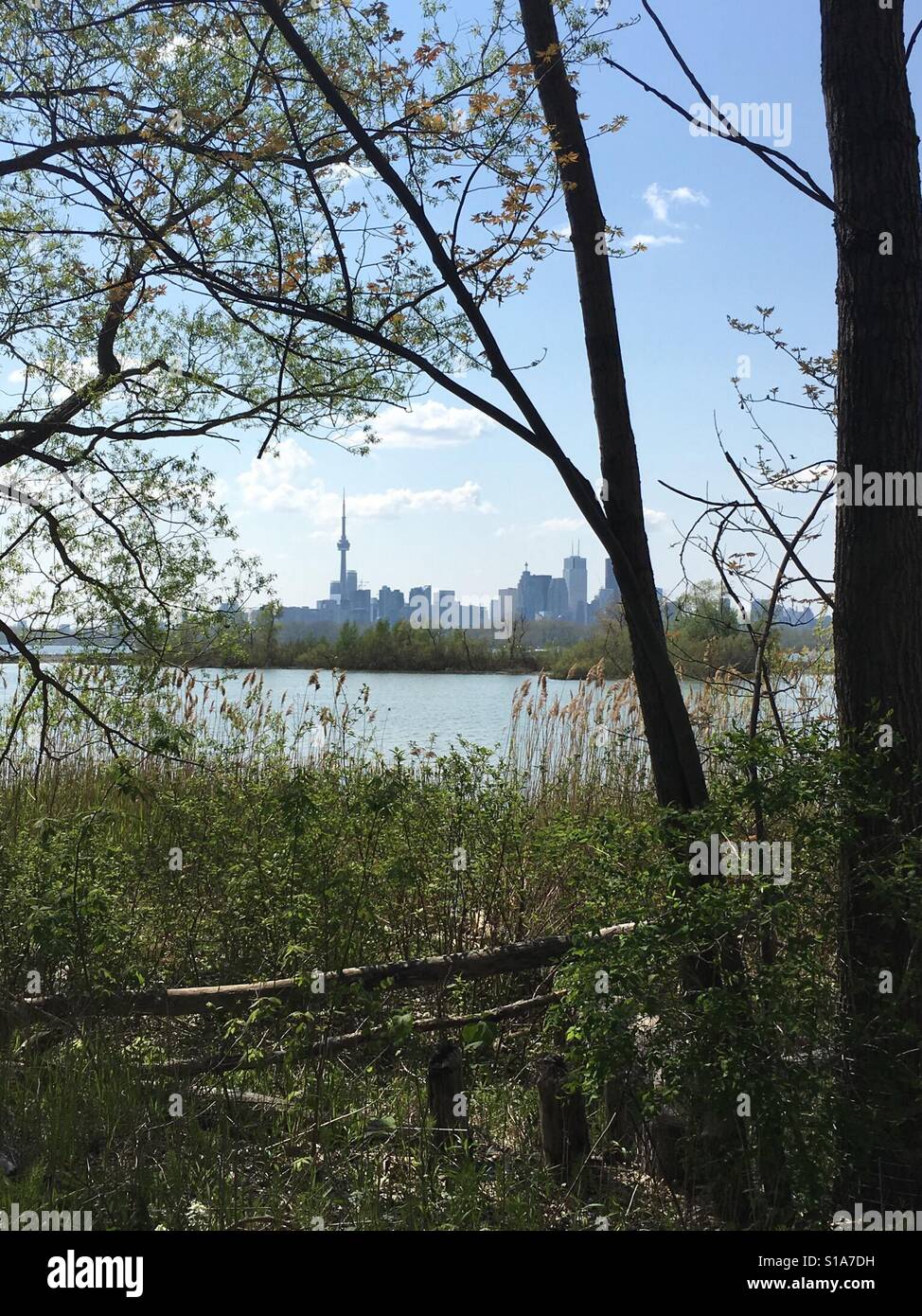 Wards island hi-res stock photography and images - Alamy