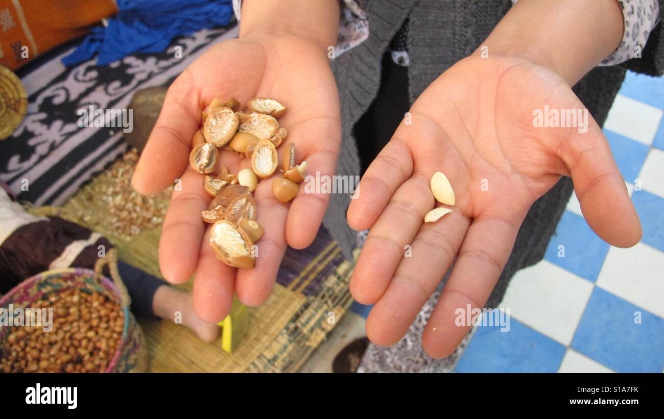 Waste Shells Stock Photos & Waste Shells Stock Images - Alamy