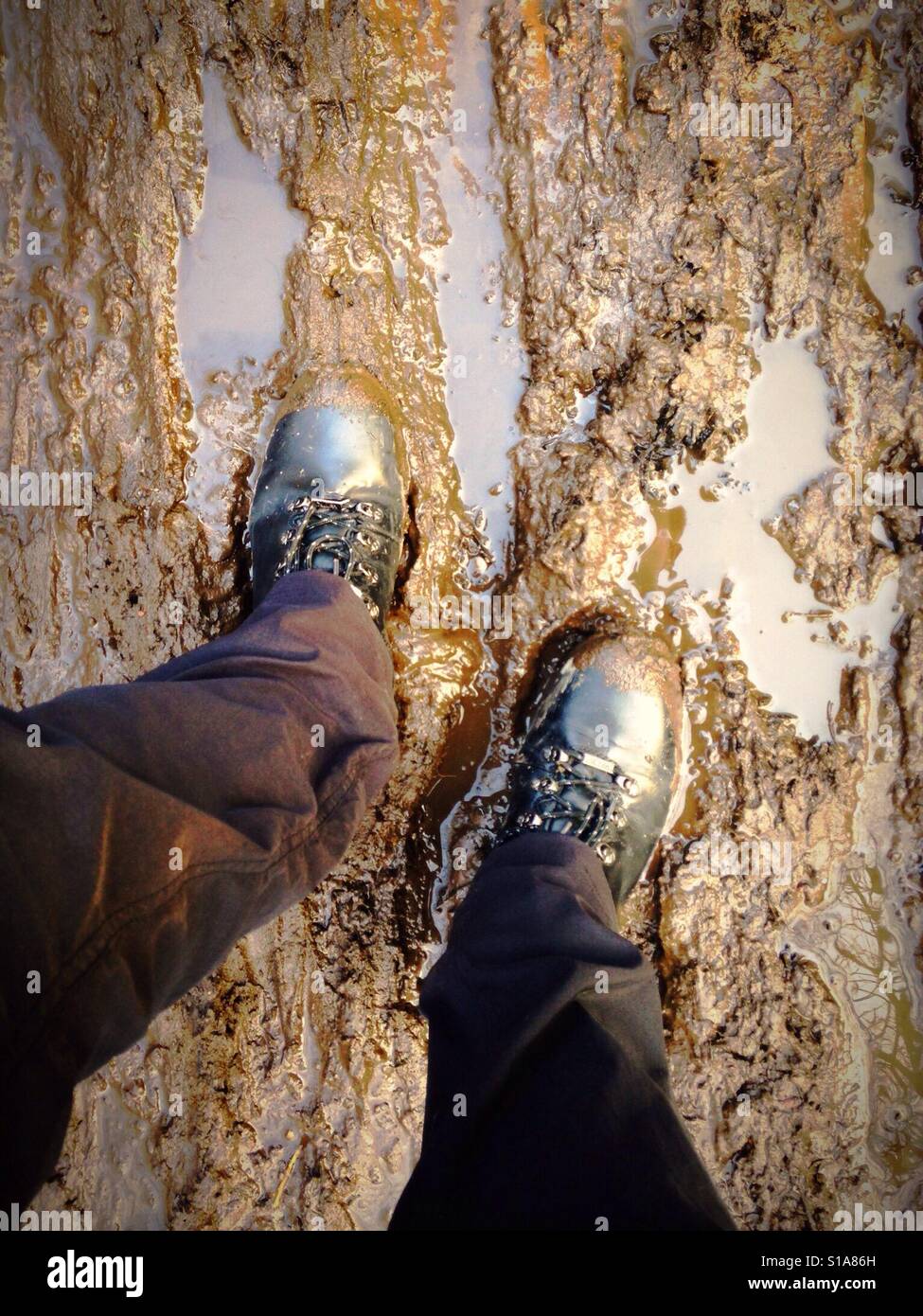 Mud bog hi-res stock photography and images - Alamy