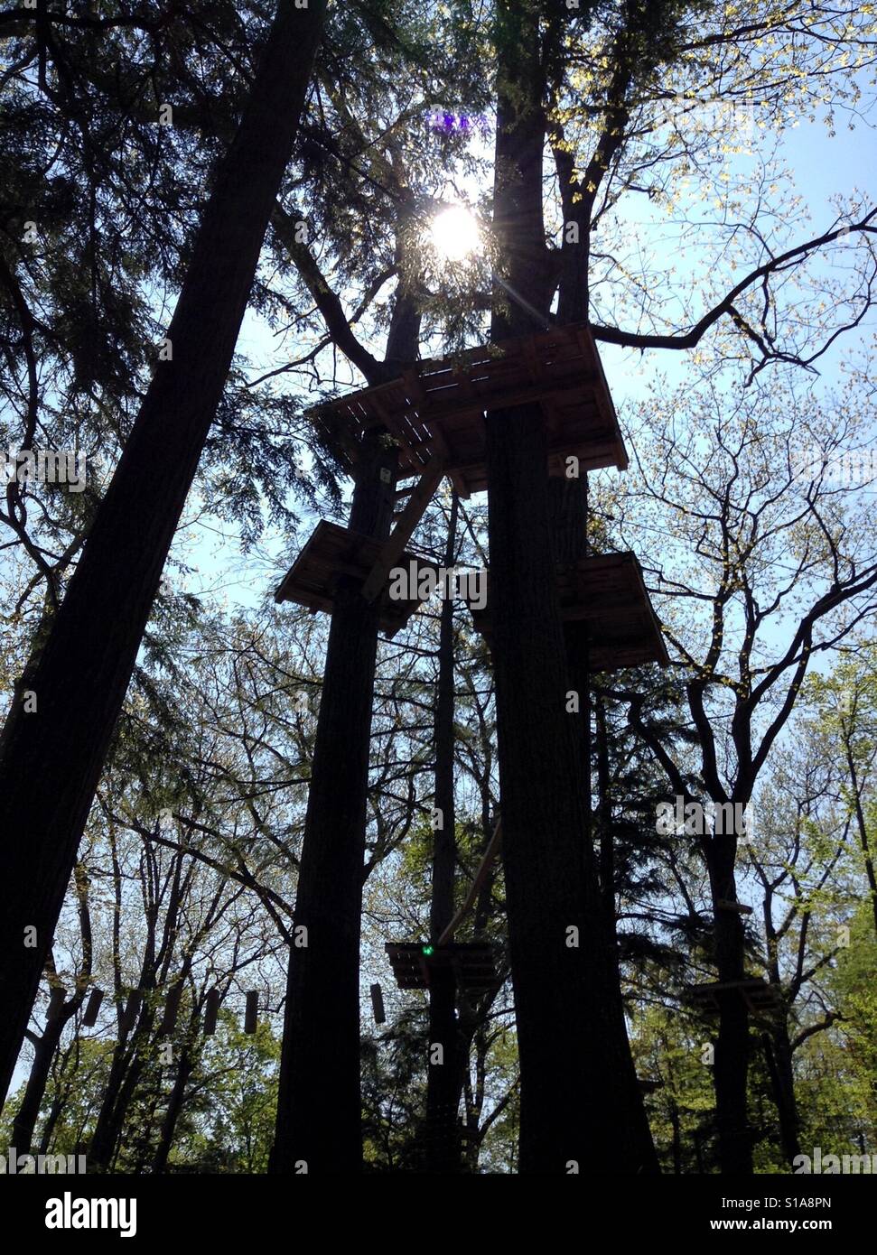 Tree fort hi-res stock photography and images - Alamy
