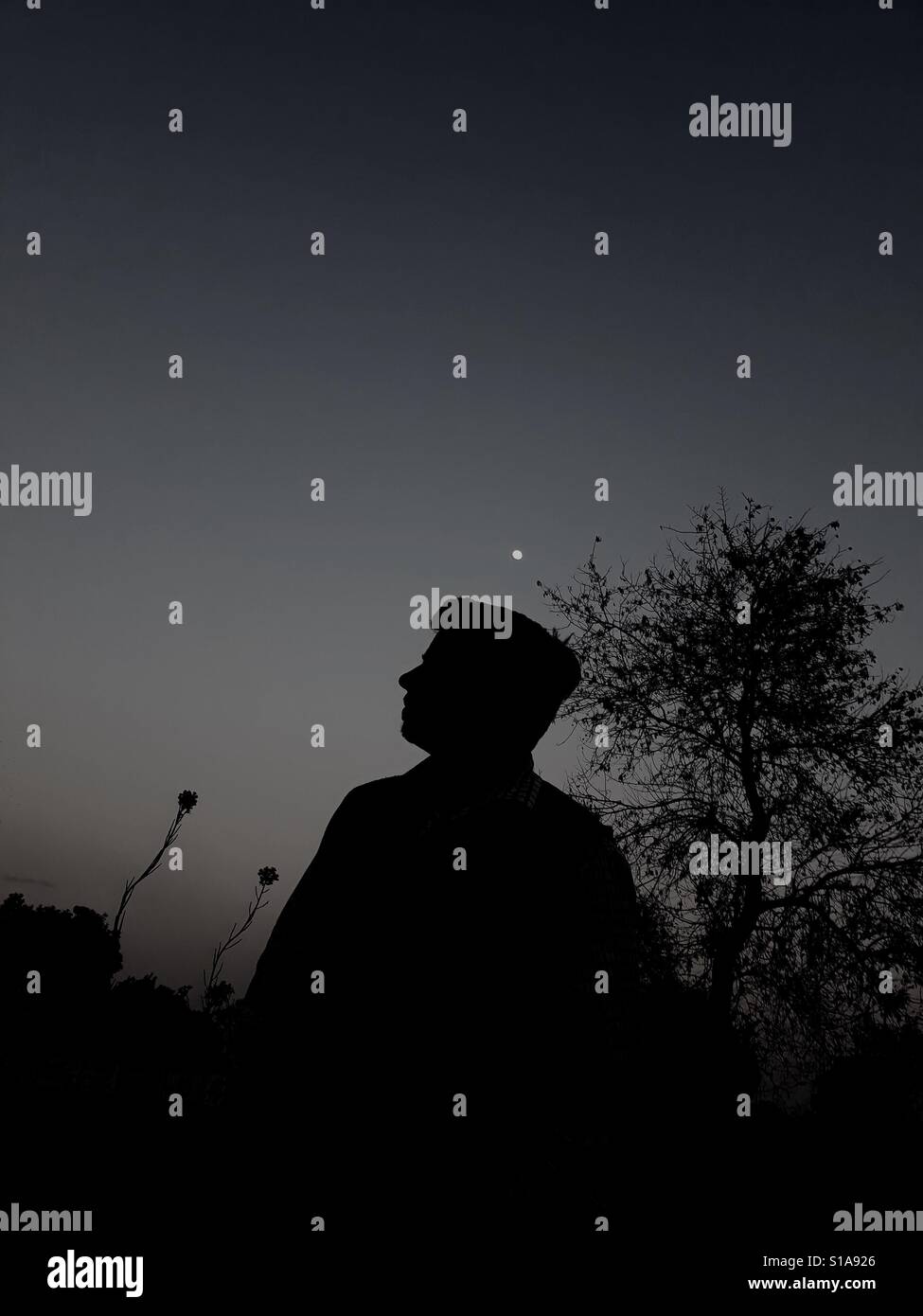Moon Shadow Stock Photos & Moon Shadow Stock Images - Alamy