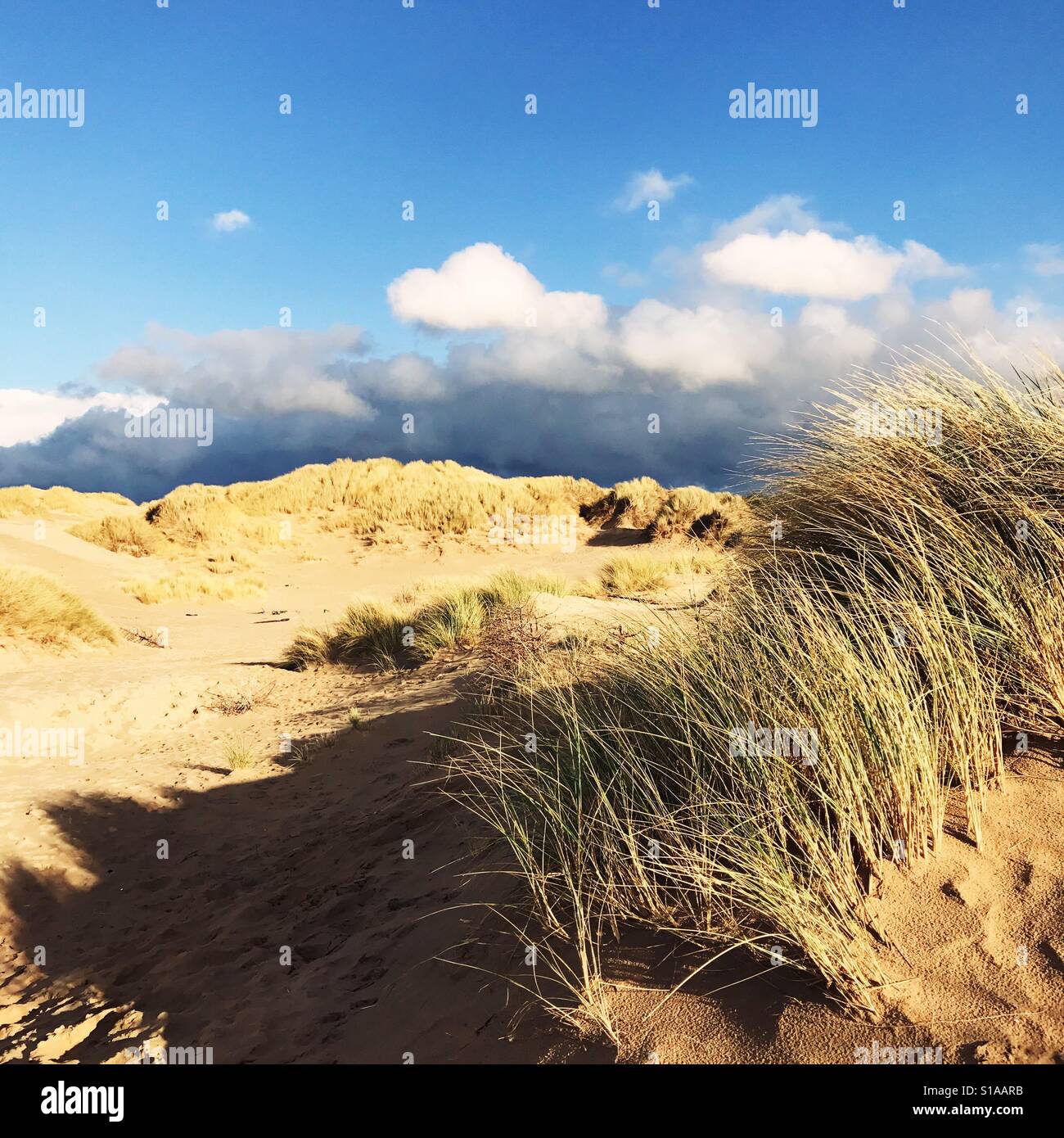 Formby Point Sand Dunes Stock Photo - Alamy