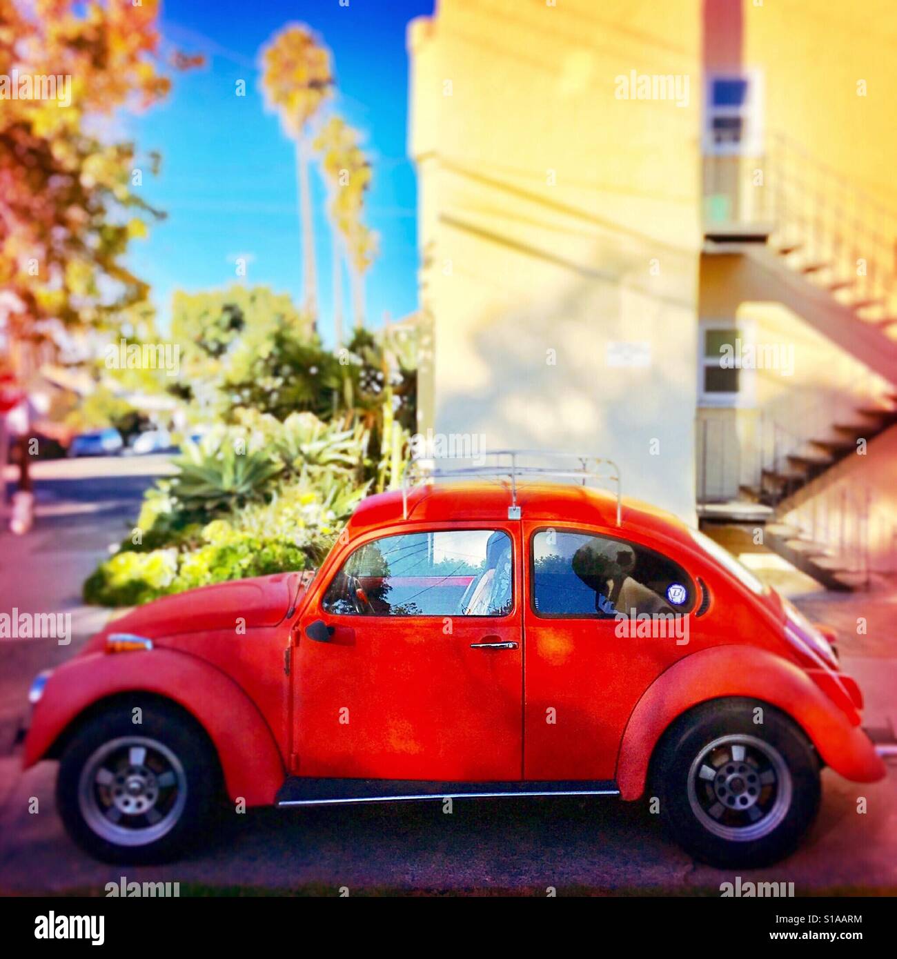 Bug stories hi-res stock photography and images - Alamy