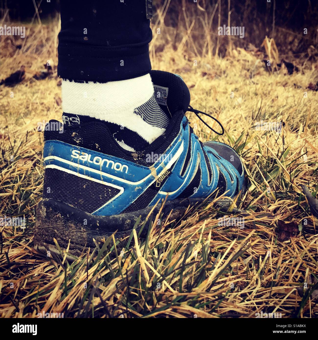 See spring trail hi-res stock photography and images - Alamy