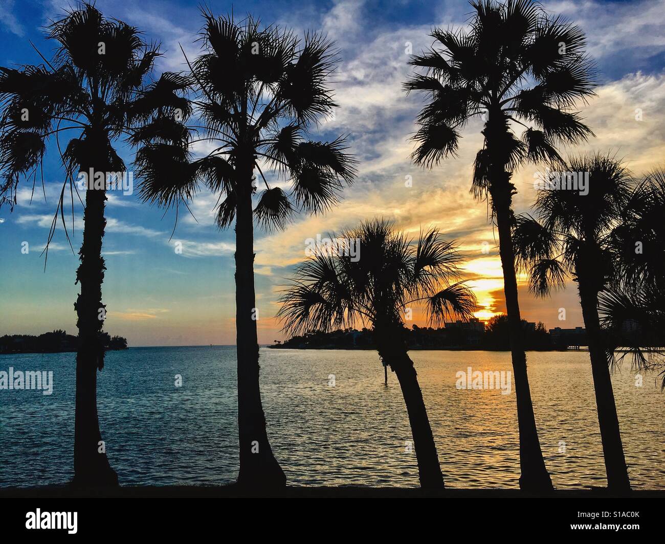 Longboat Key Florida Stock Photos & Longboat Key Florida Stock Images ...