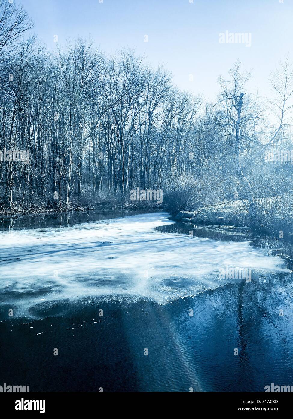 Icy blue pond in winter with bare trees reflections in water and copy ...