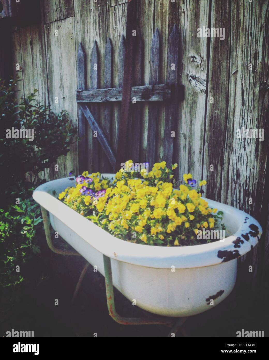 Repurpose reuse recycle hi-res stock photography and images - Alamy