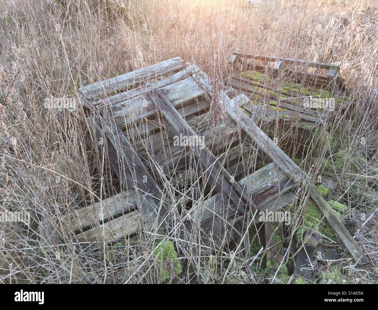 Broken field hi-res stock photography and images - Alamy