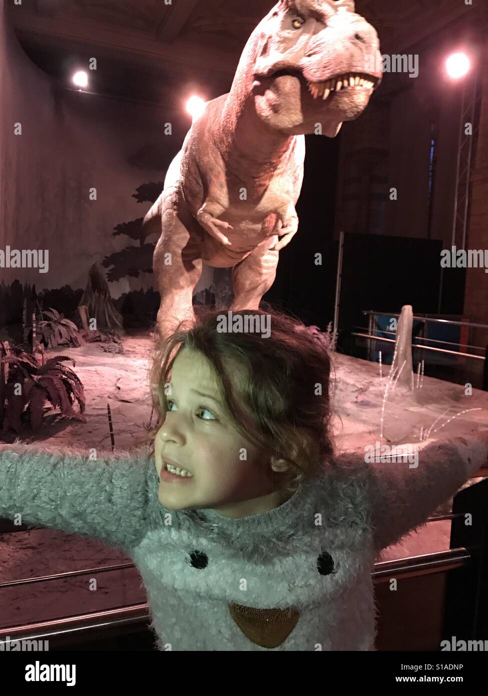 Tyrannosaurus rex natural history museum hi-res stock photography and ...