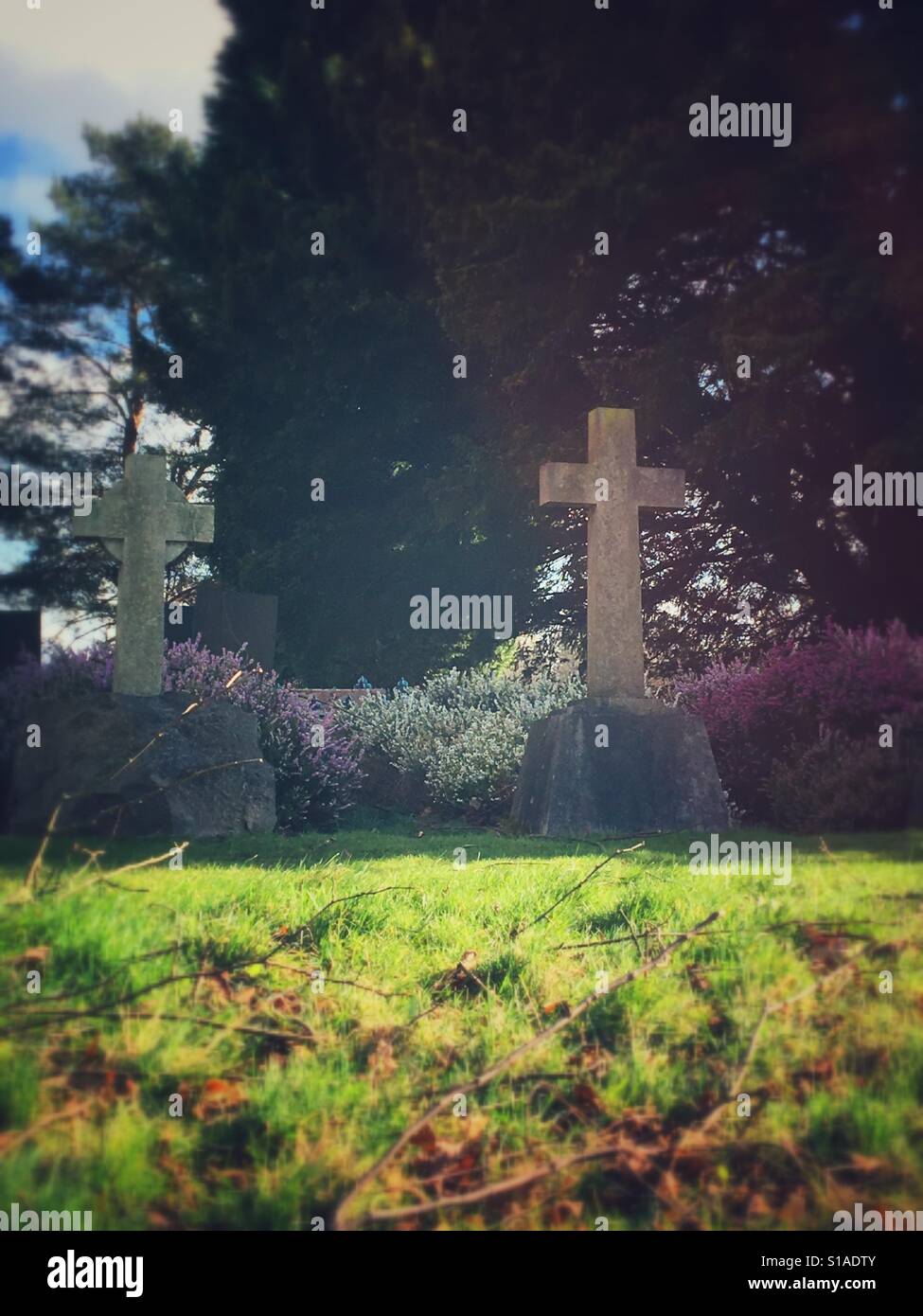 Graveyard scenery hi-res stock photography and images - Alamy