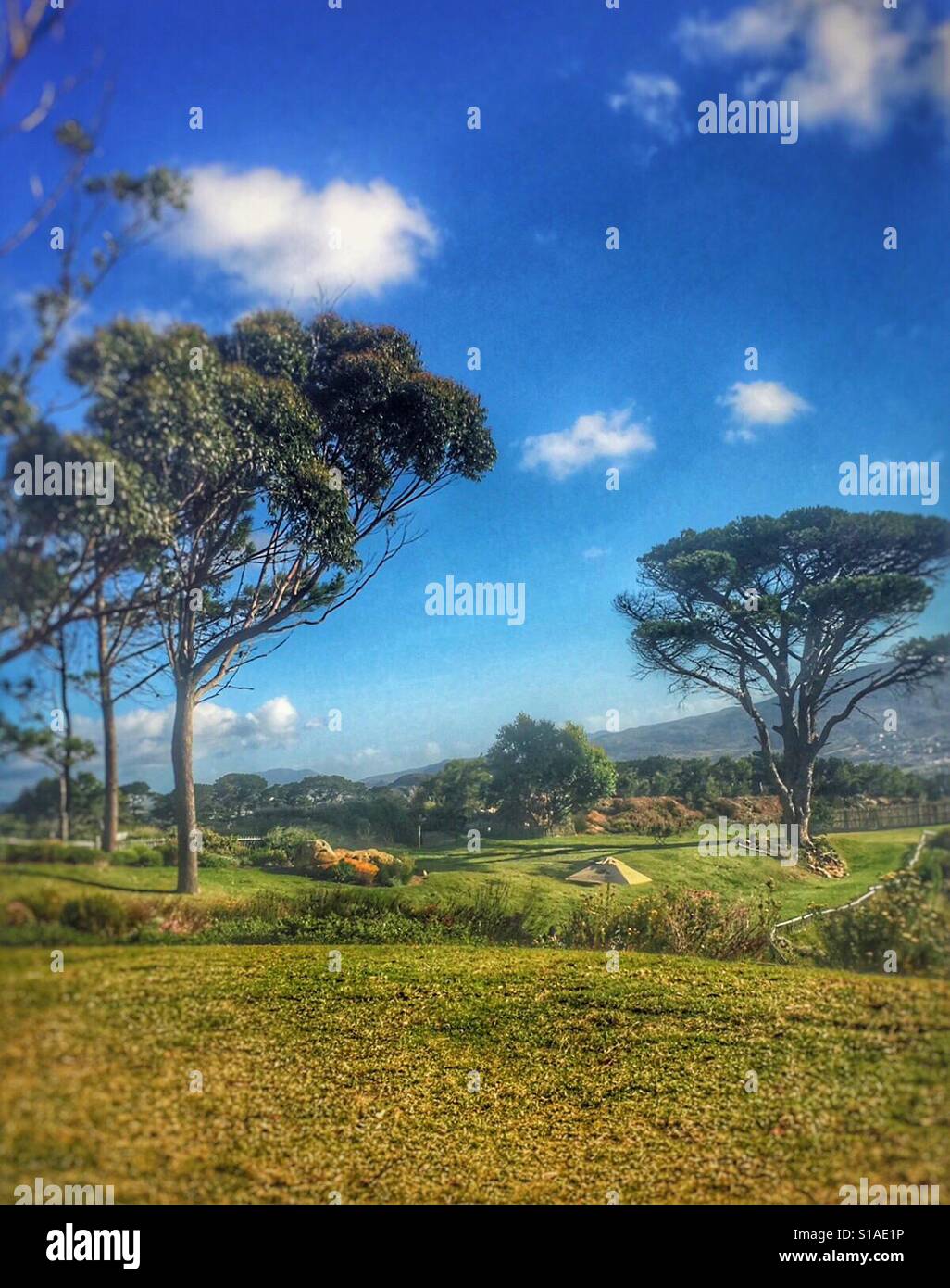 South african countryside hi-res stock photography and images - Alamy