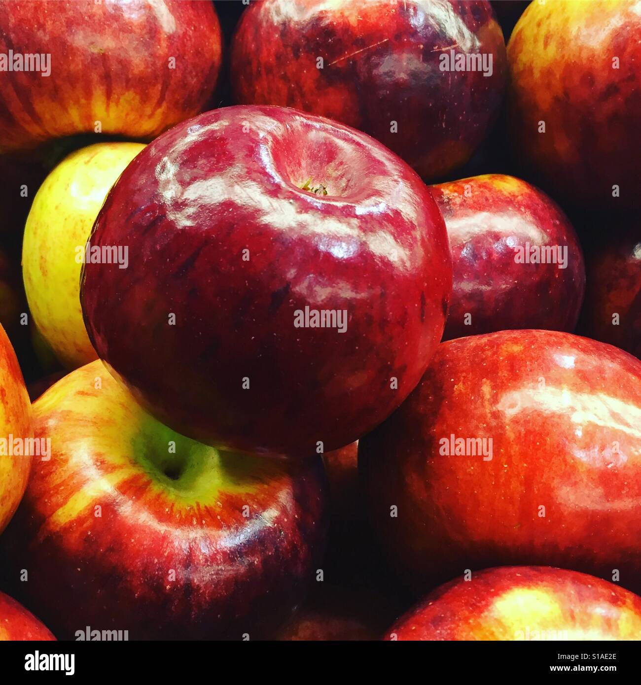 Homegrown apple hi-res stock photography and images - Alamy