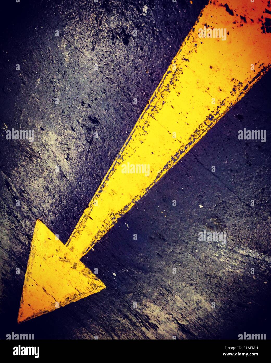 Yellow follower hi-res stock photography and images - Alamy