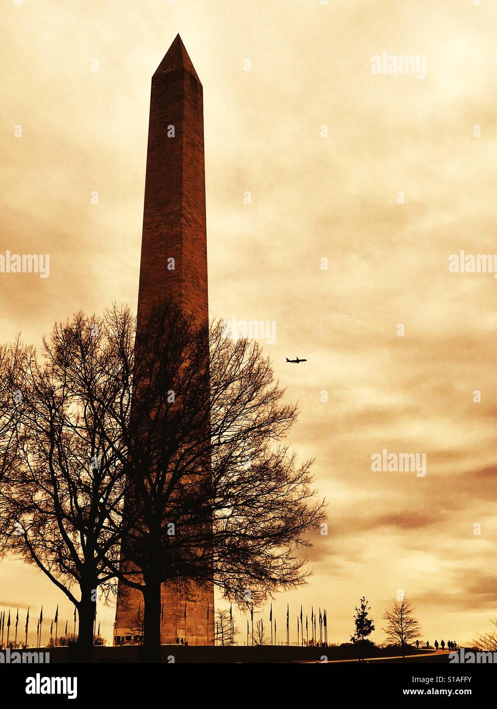 National mall in winter hi-res stock photography and images - Alamy