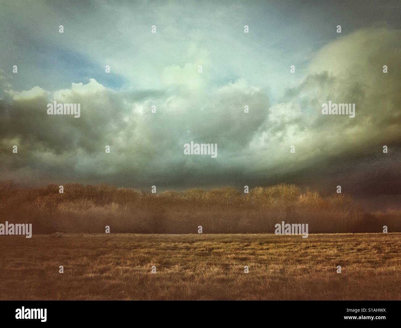 Stormy sky over a field and trees Stock Photo - Alamy