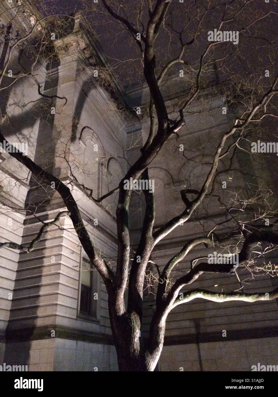 Tree shadows on gothic building Stock Photo - Alamy