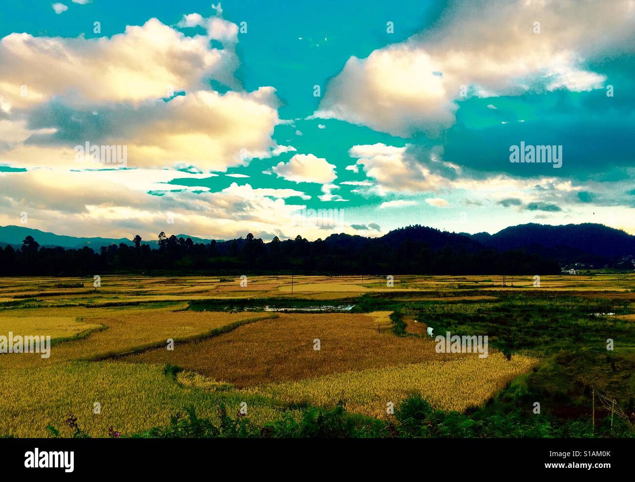 Ziro festival hi-res stock photography and images - Alamy