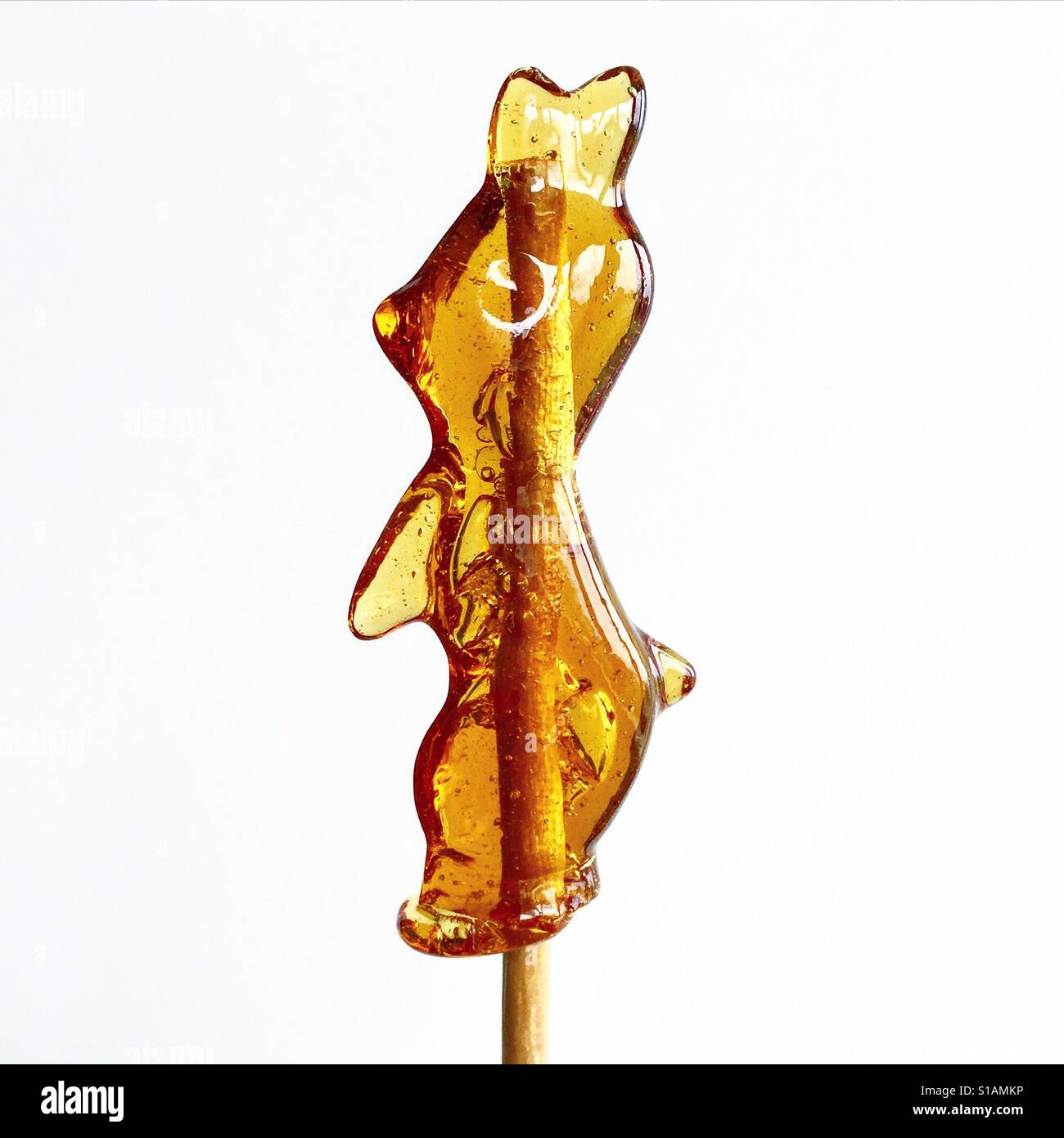 Rabbit lollipop isolated Stock Photo - Alamy