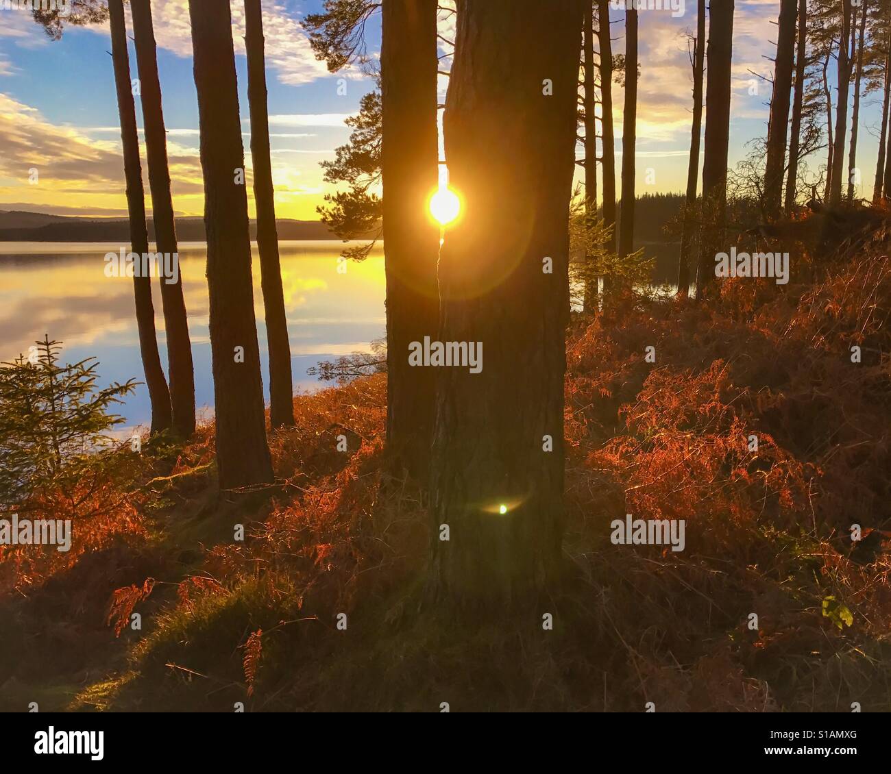Kielder water and forest park hi-res stock photography and images - Alamy