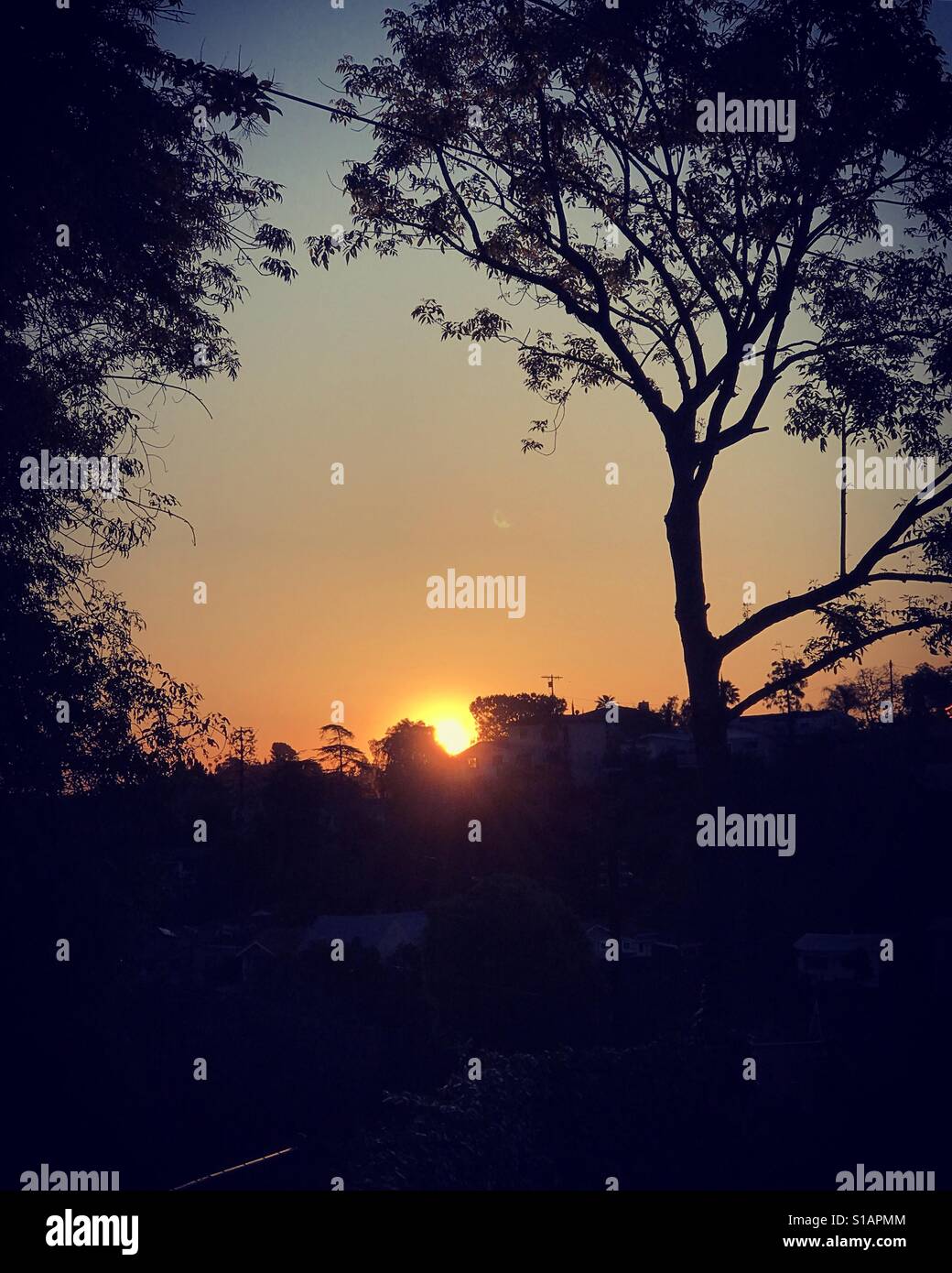 Sun gazing hi-res stock photography and images - Alamy