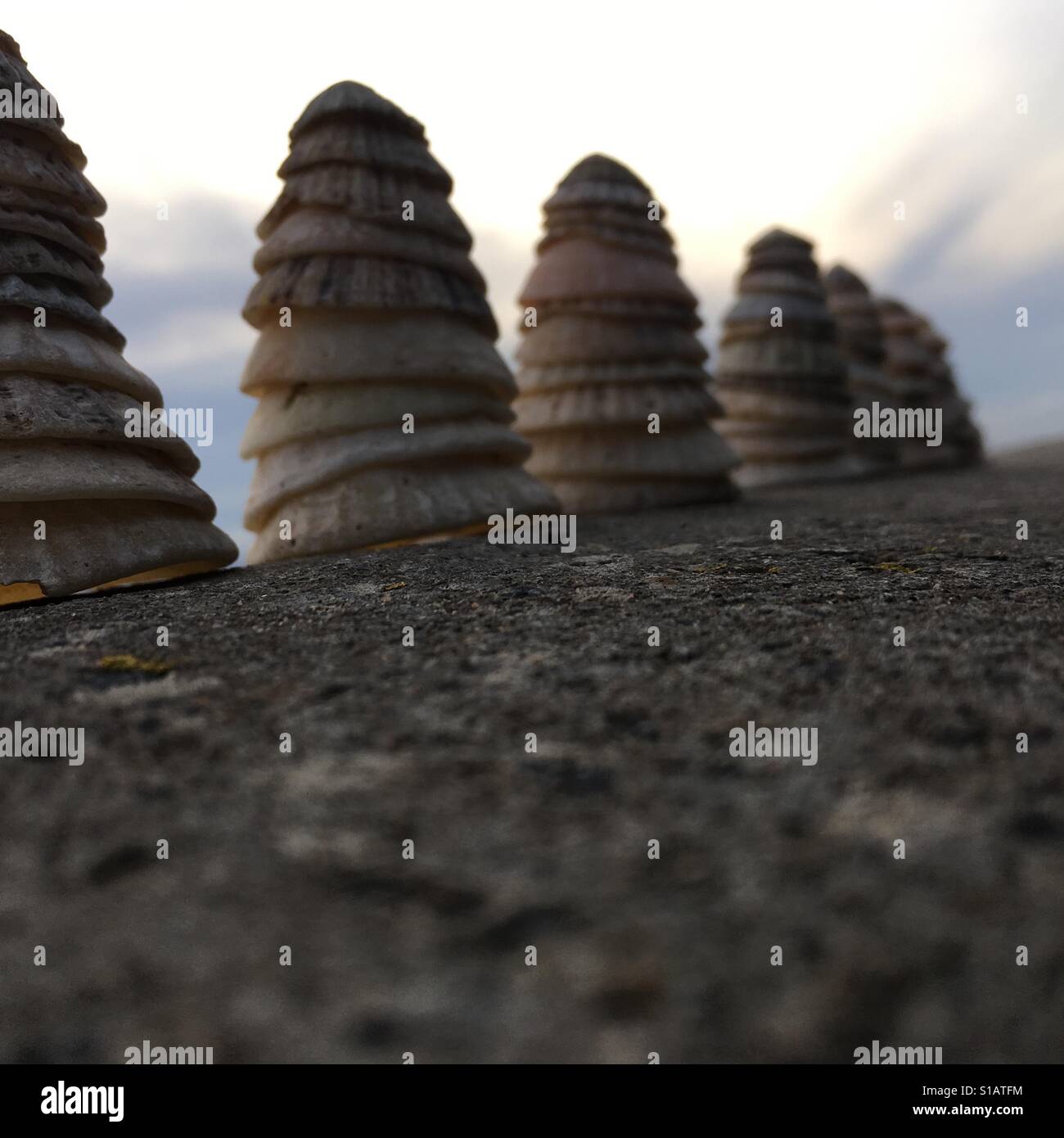Shells At The Seaside High Resolution Stock Photography and Images - Alamy