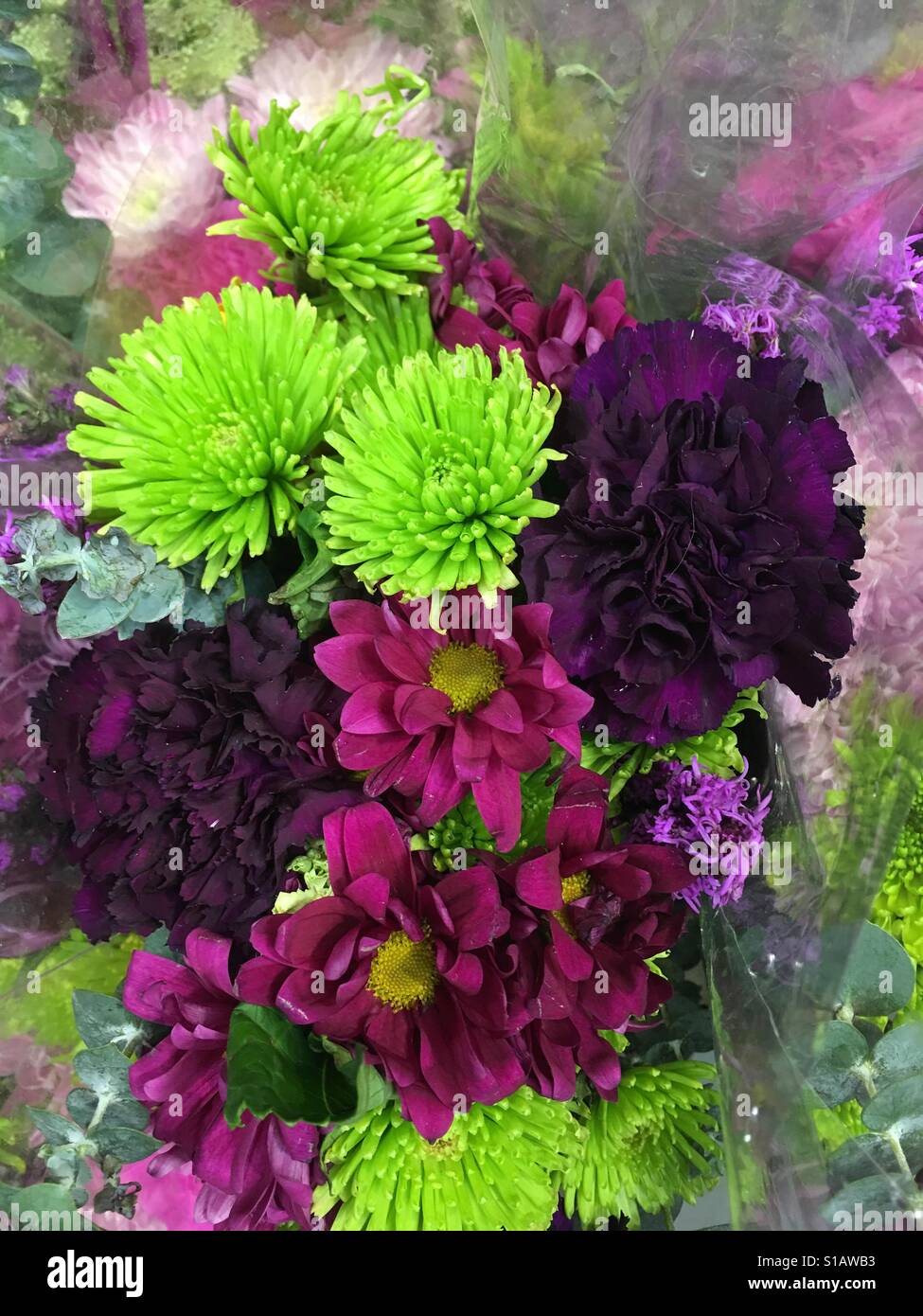 Flower flowers bloom blooms hi-res stock photography and images - Alamy