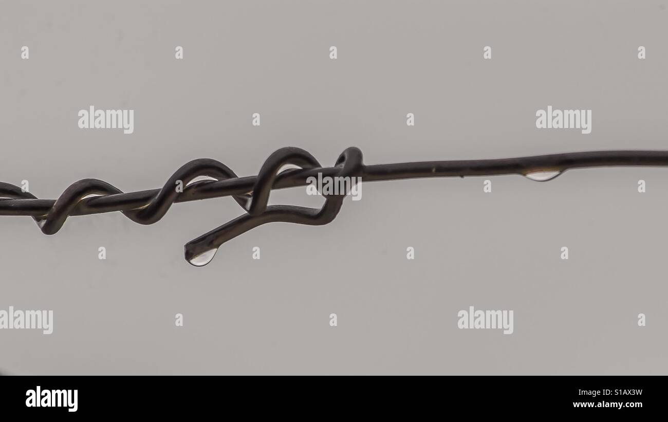 Steel wire hi-res stock photography and images - Alamy