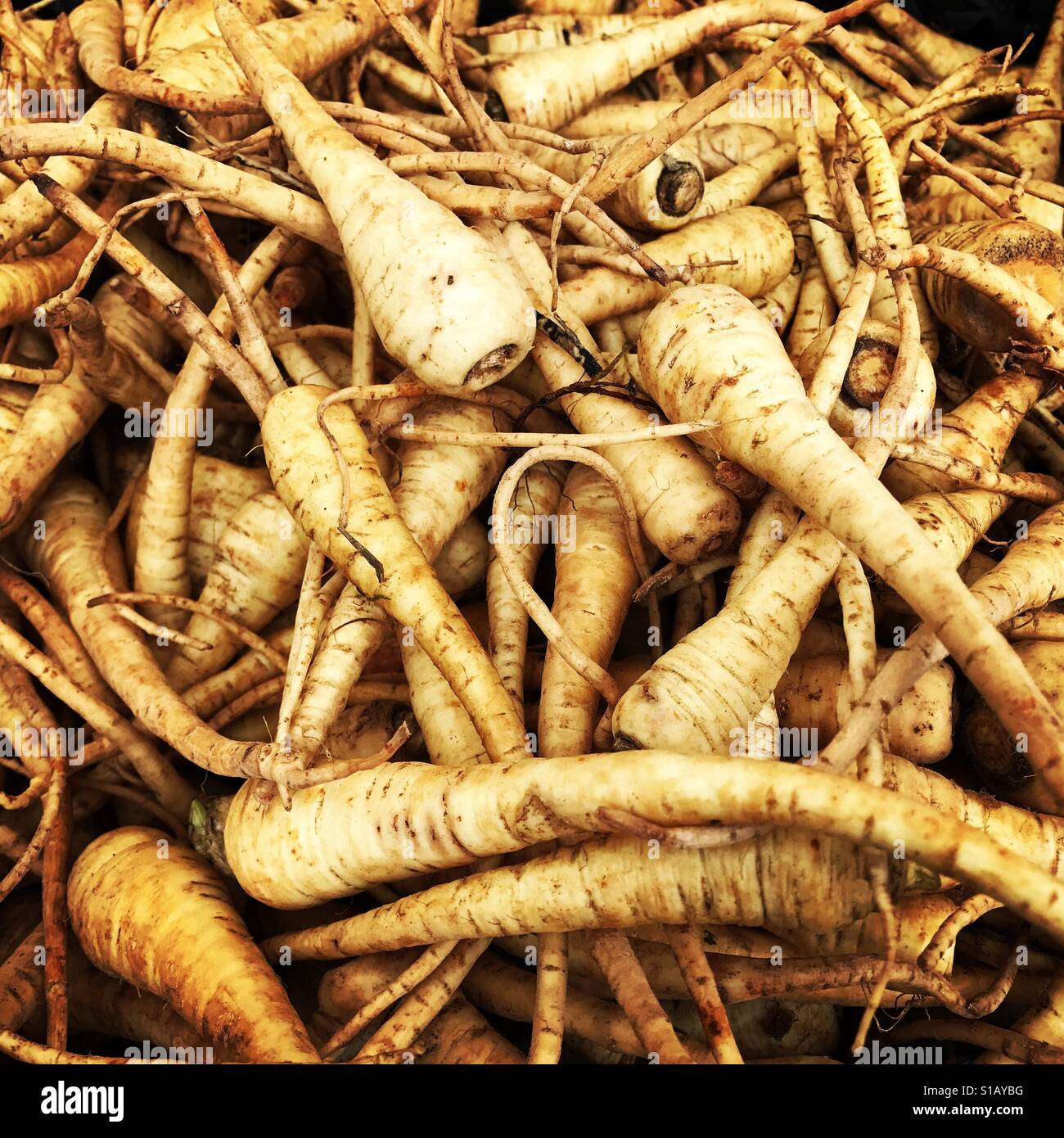 Roots of vegetables hi-res stock photography and images - Alamy