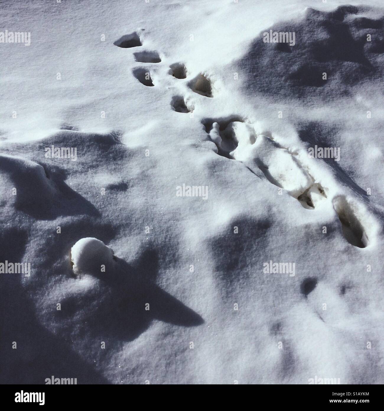 Aesthetic winter hi-res stock photography and images - Alamy